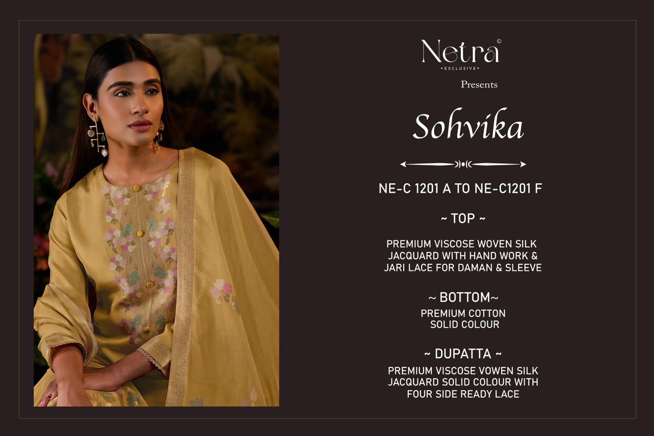 Sohvika Netra Premium Viscose Pant Style Suits Exporter – Kavya Style Plus