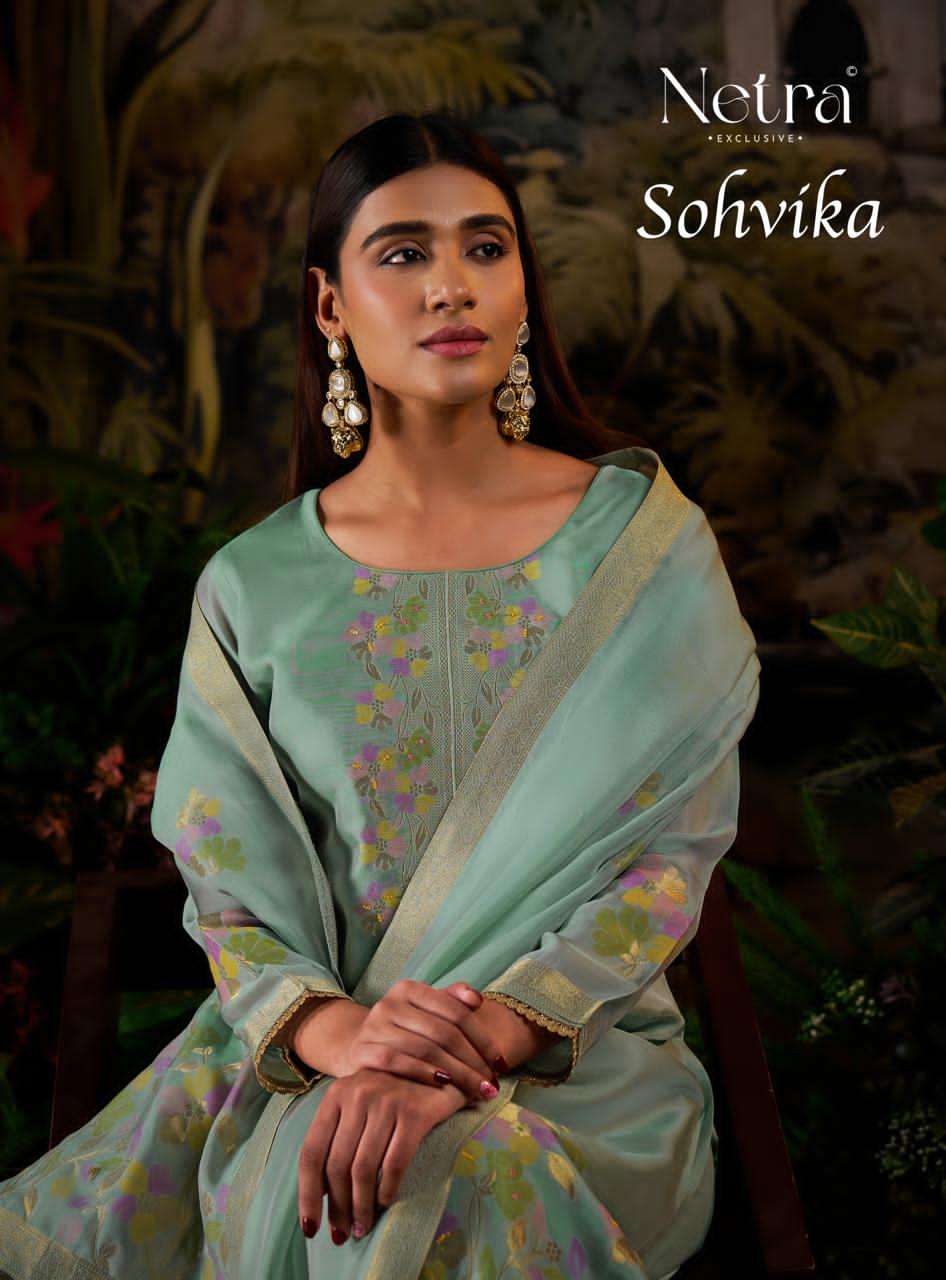 Sohvika Netra Premium Viscose Pant Style Suits Exporter – Kavya Style Plus